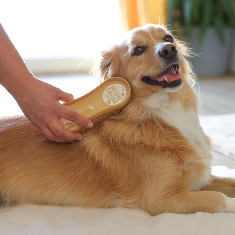 Brosse MagicBrush SOFT